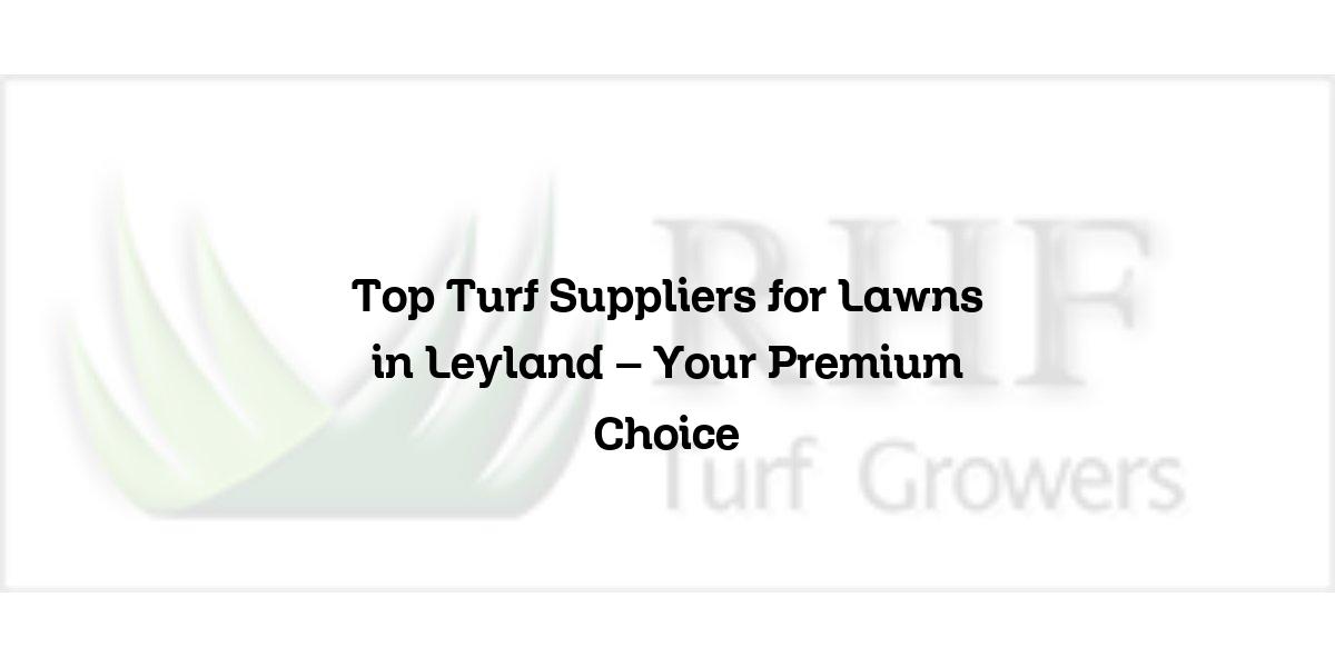 Top Turf Suppliers for Lawns in Leyland – Your Premium Choice